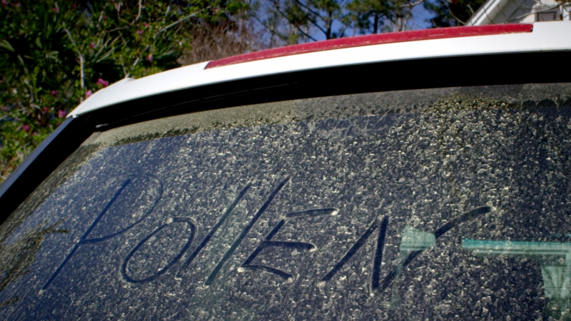 Trees unleash 'pollen bombs’ as allergies surge | AccuWeather