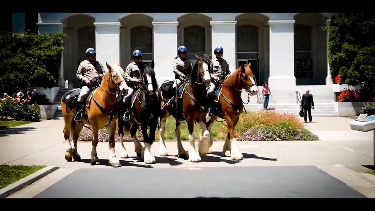 New video blog by CHP debuts with a look at the officers, horses and ...