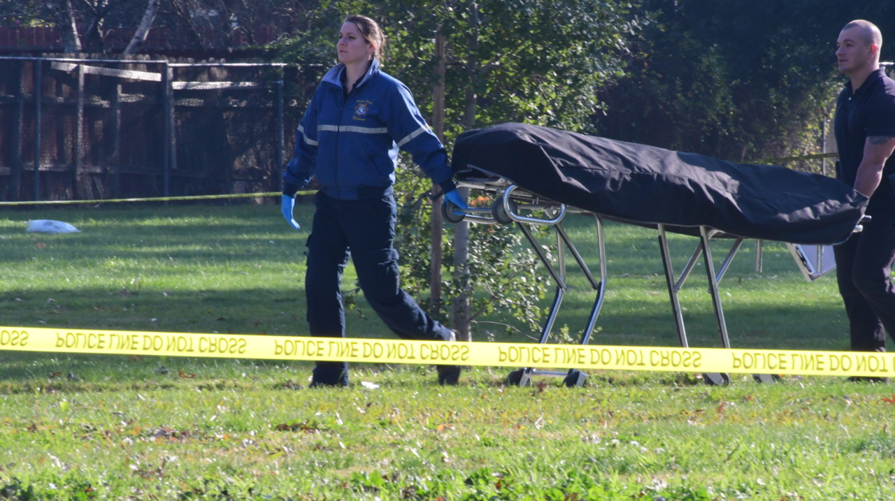 Dead body found in south Sac park identified as 16-year-old ...