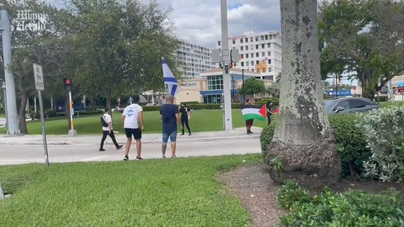 Pro-Israel protesters attack supporters of Palestinians in Fort ...