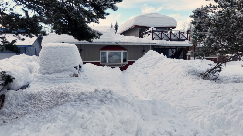 Field Coverage Weather Videos | AccuWeather