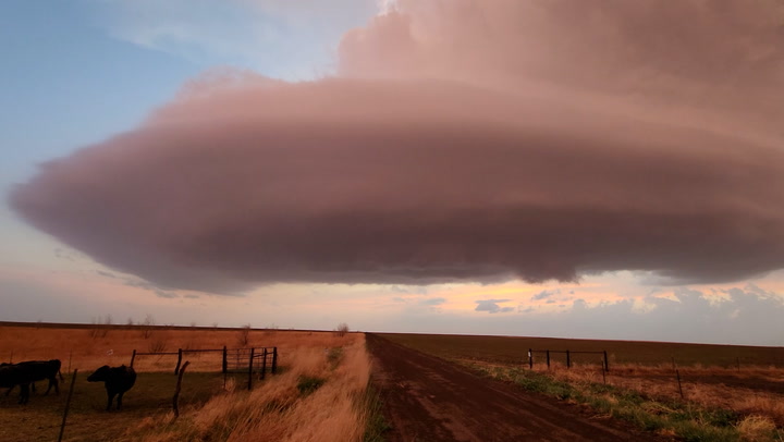 Trending Now Weather Videos | AccuWeather