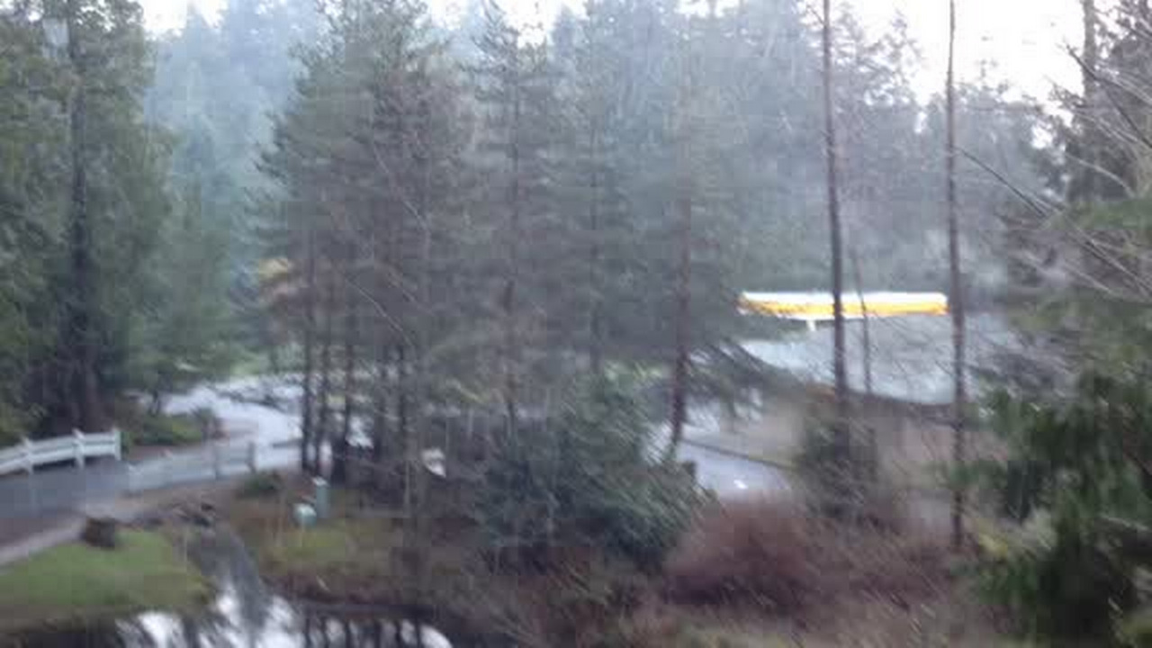 Snow, unseasonable cold likely coming to Whatcom County | Bellingham Herald