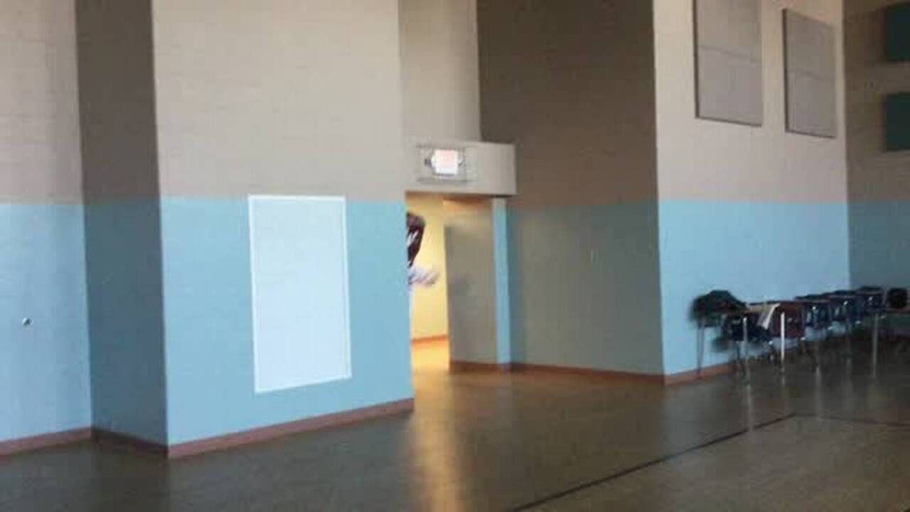 Macon Bacon mascot name unveiled. He's got some moves of his likely ...