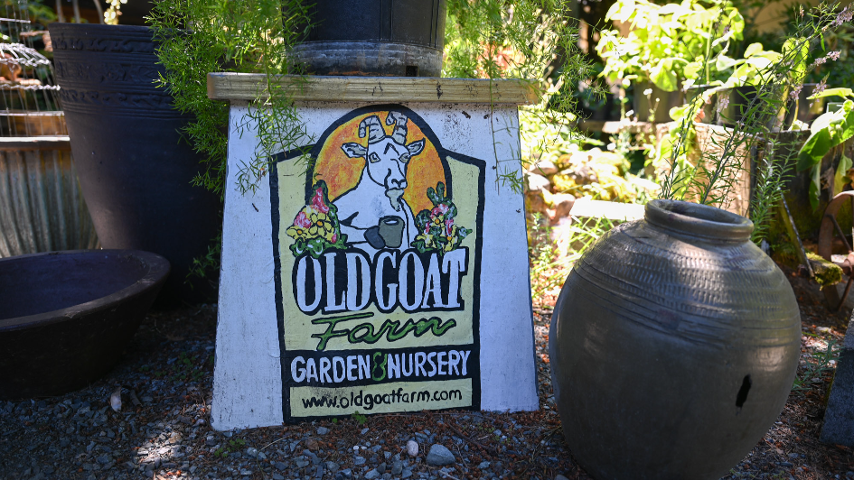 Farewell for now: Old Goat Farm closes its gates | Tacoma News Tribune