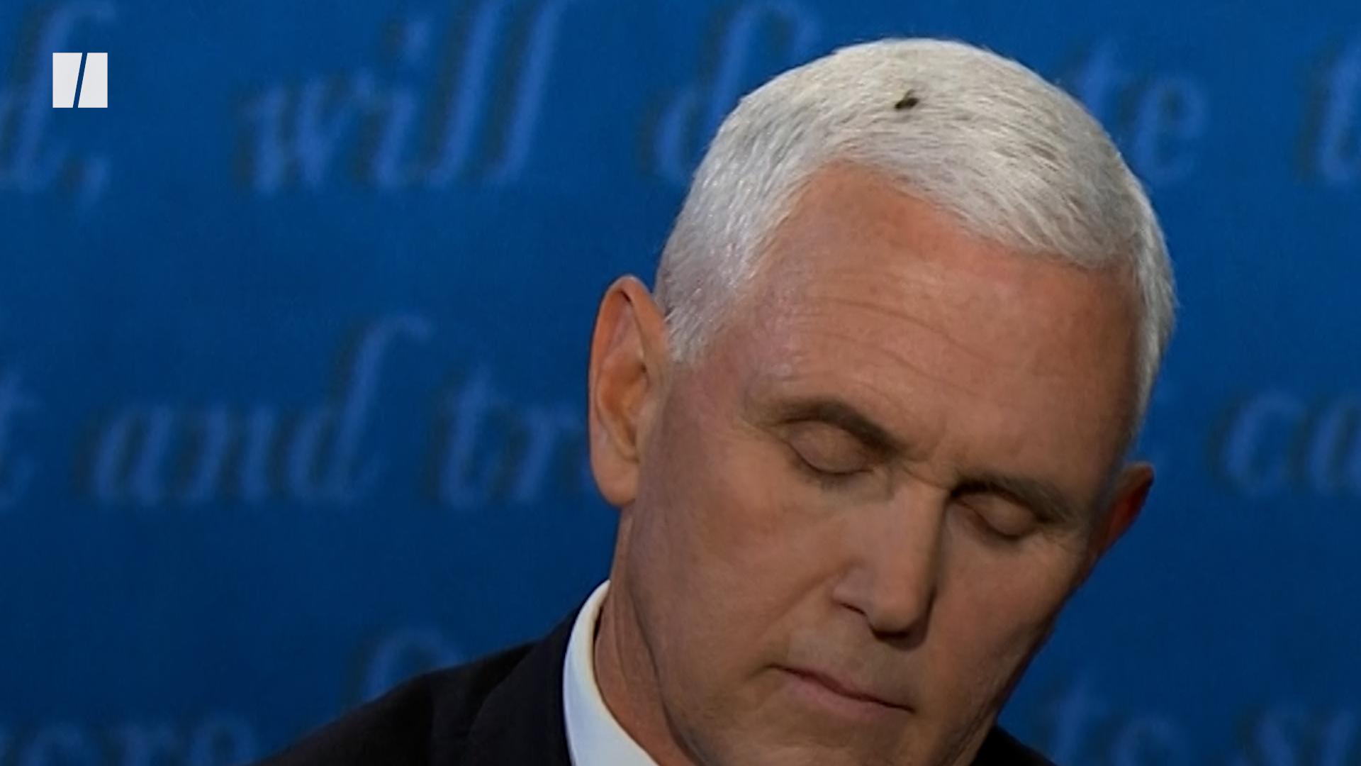 A Fly On Mike Pence's Head During The VP Debate Drew The Buzziest ...