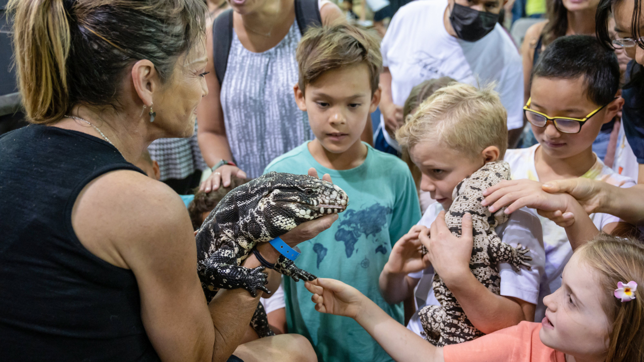 Video: Reptile Show returns to Sacramento CA | Sacramento Bee