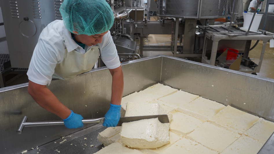 Pacific Northwest News: WA, OR, ID & BC | Tacoma News Tribune