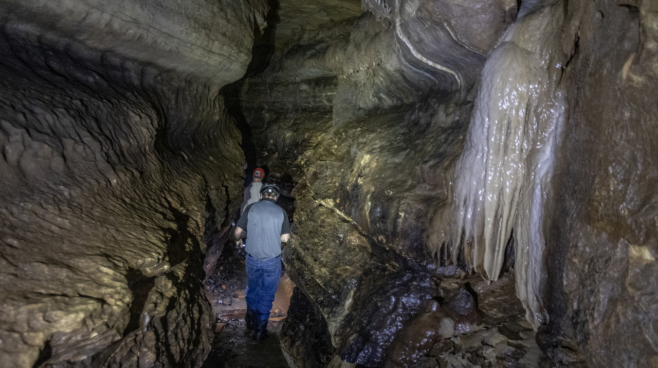 Illinois Caverns reopens to cave exploration adventure | Belleville News-Democrat