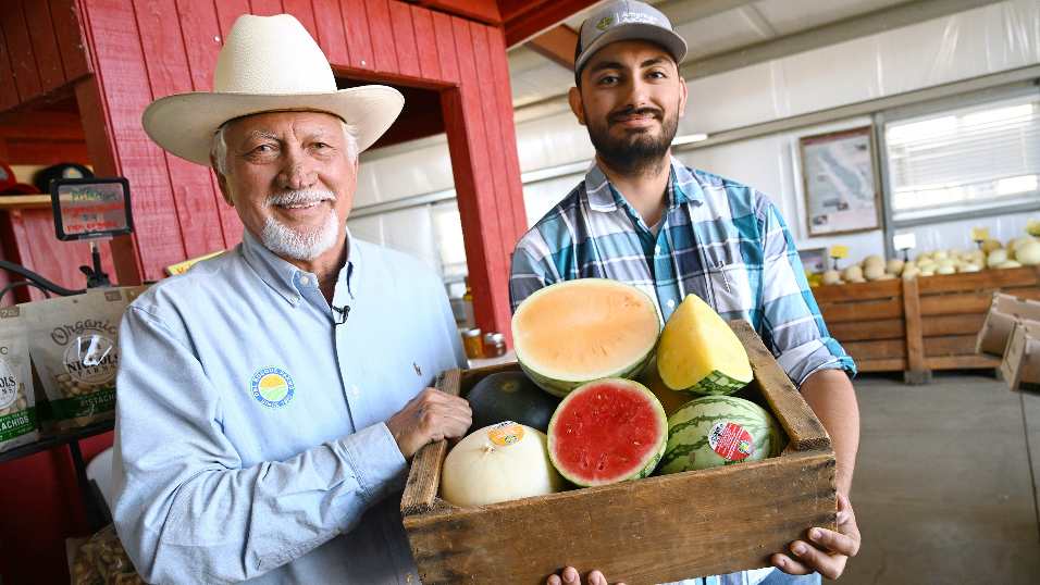 Del Bosque Farms sells all types of melons at its fruit stand on the ...