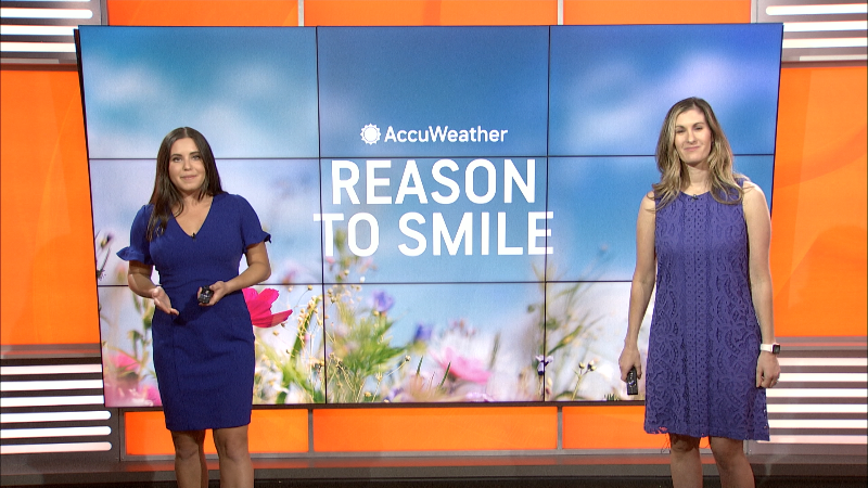 Trending Now Weather Videos | AccuWeather