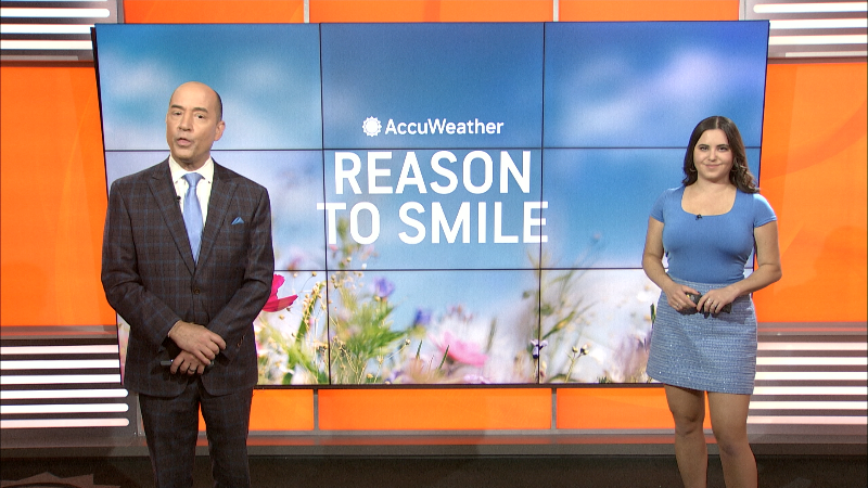 Trending Now Weather Videos | AccuWeather