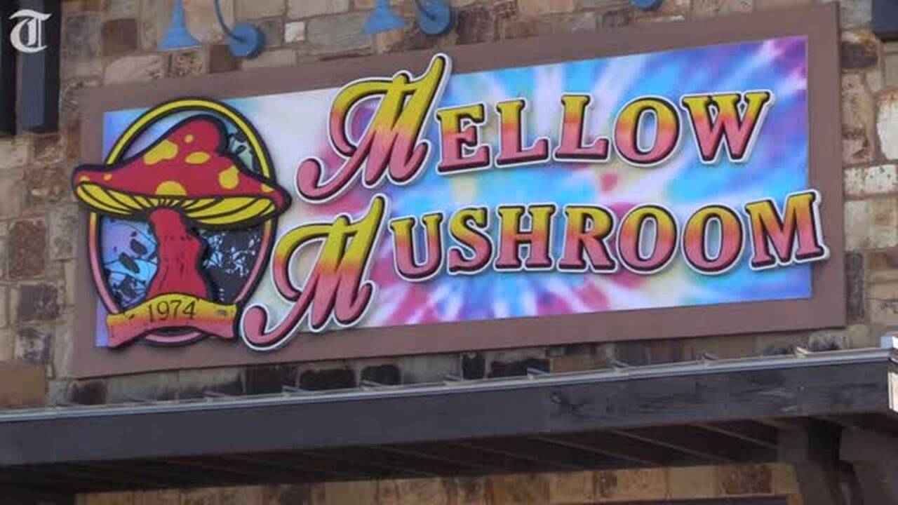 Mellow Mushroom reopening March 19 in Macon | Hilton Head Island Packet