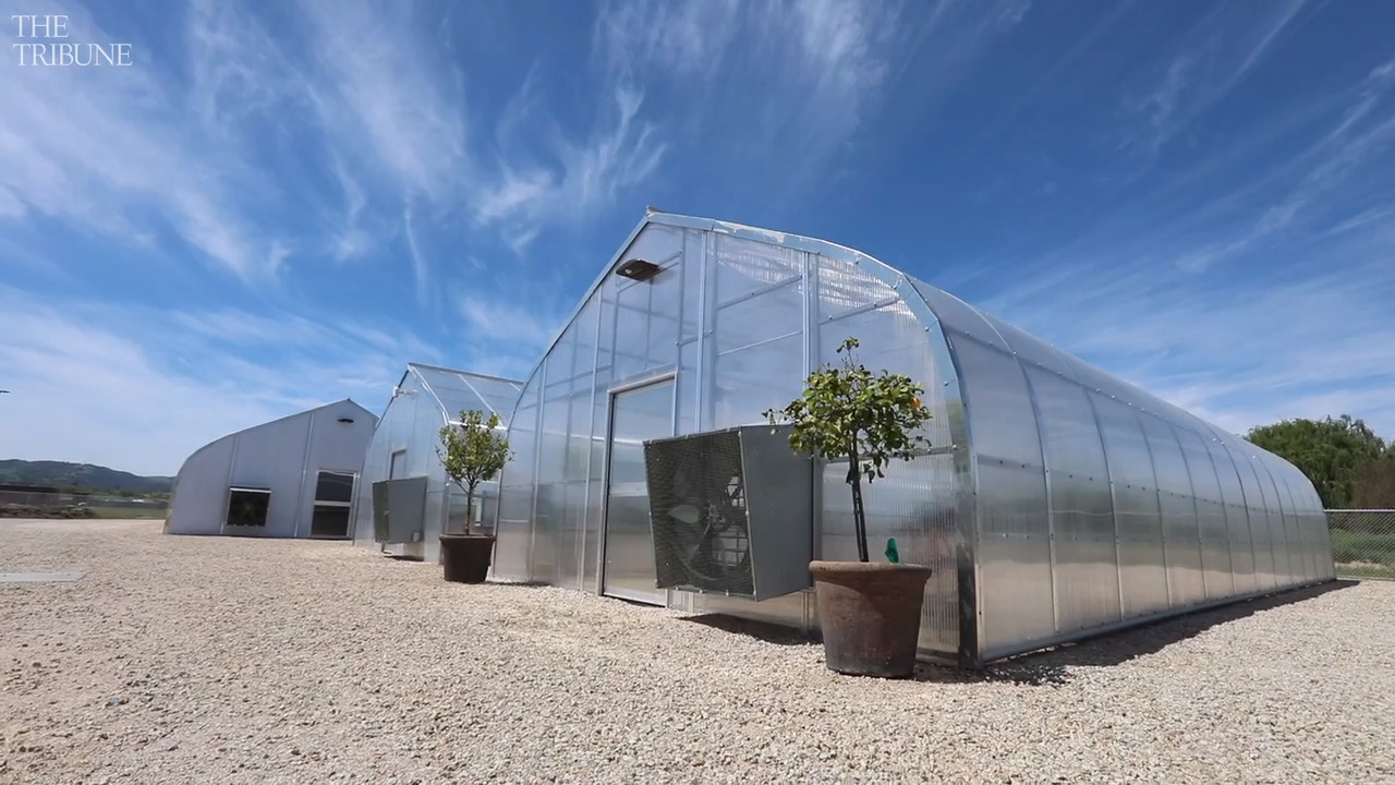 Cuesta College agriculture program celebrates third year | Belleville ...