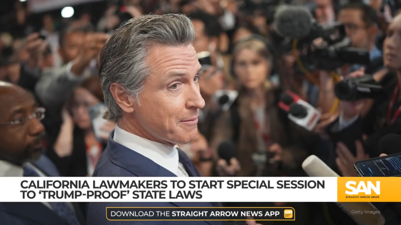 Newsom proposes $25M to Trump proof California | Sacramento Bee