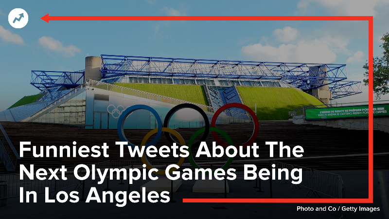 Shohei Ohtani's Dog 'Throwing Out' First Pitch Might Be The Cutest ...