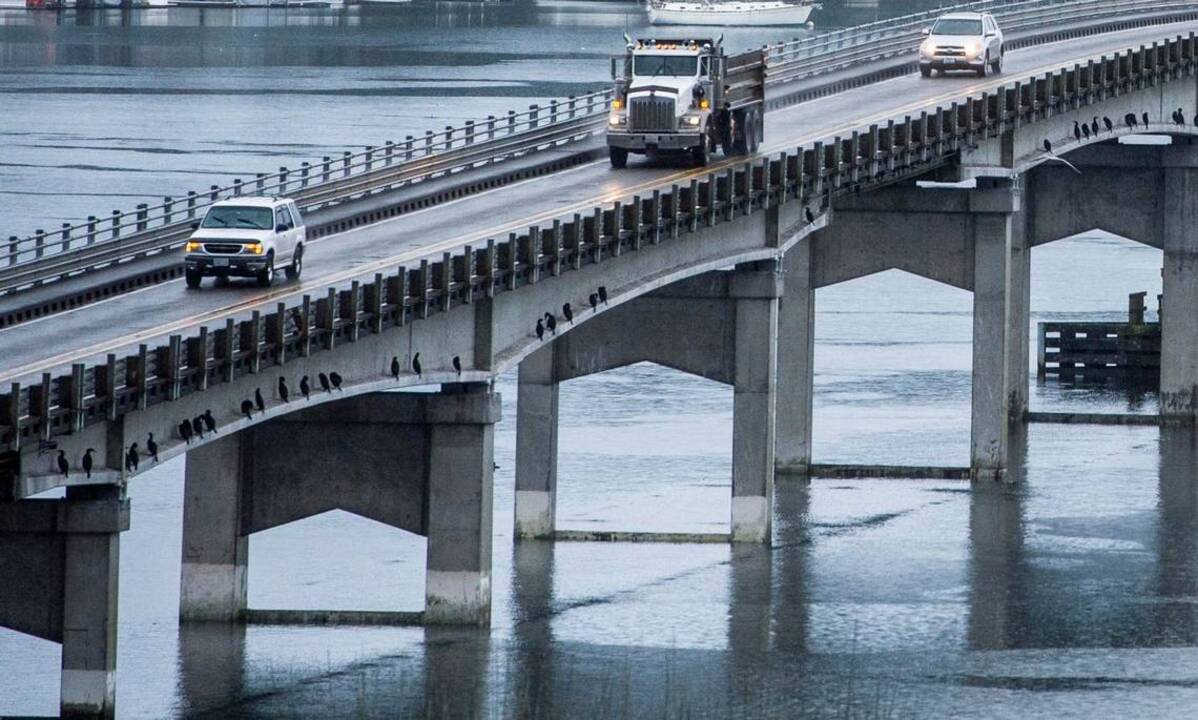 Annual inspection of the Fox Island Bridge set for this week | Tacoma ...
