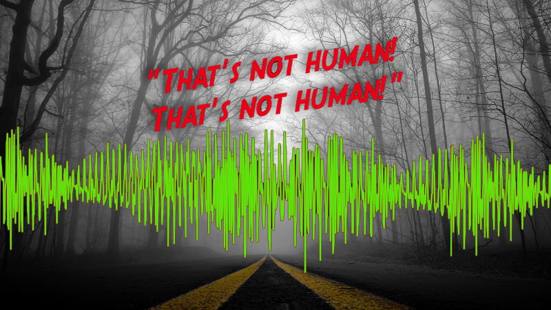 Pender County NC Sheriff says scary 911 monster call a true ghost story ...