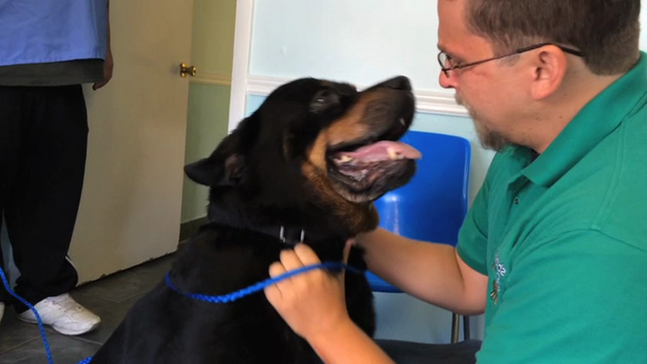 Man reunited with his missing dog after 8 years | Miami Herald