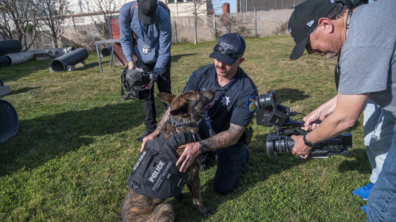 Sacramento Police K-9 unit get protective vests | Sacramento Bee