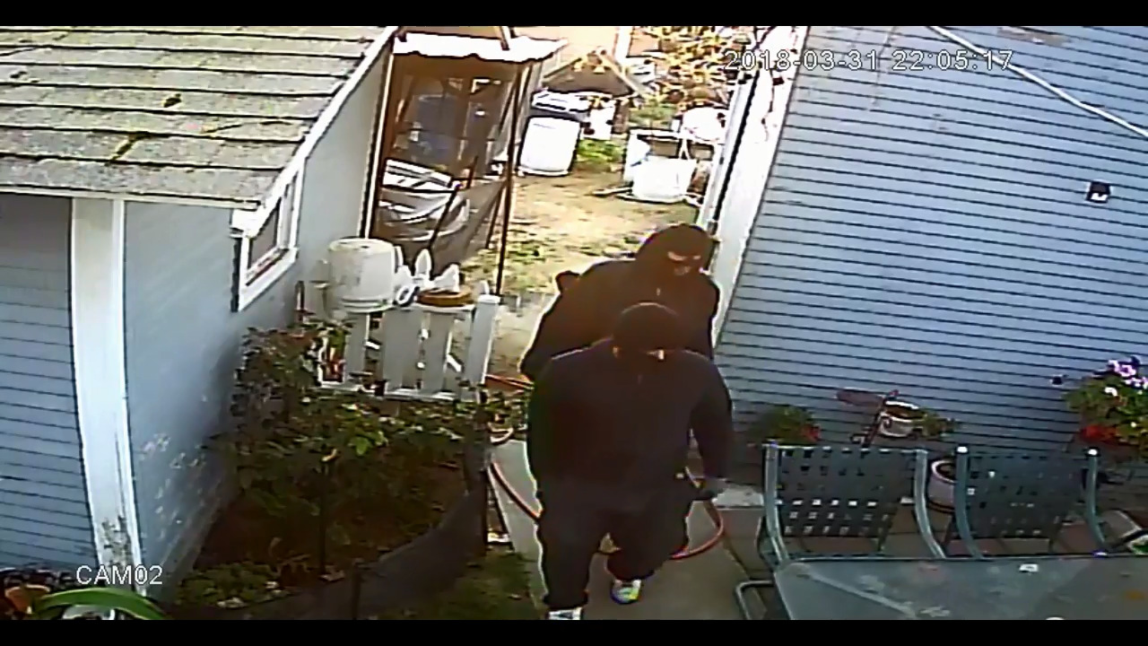 Surveillance footage of hot prowl suspects in Parlier | Belleville News ...