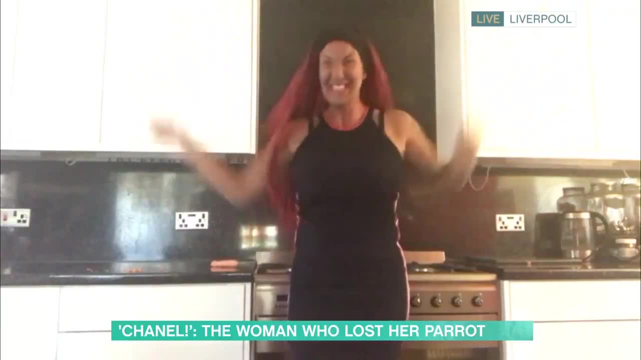 Chanel The Parrot's Rise To Fame Is Complete As Viral Star Makes This ...