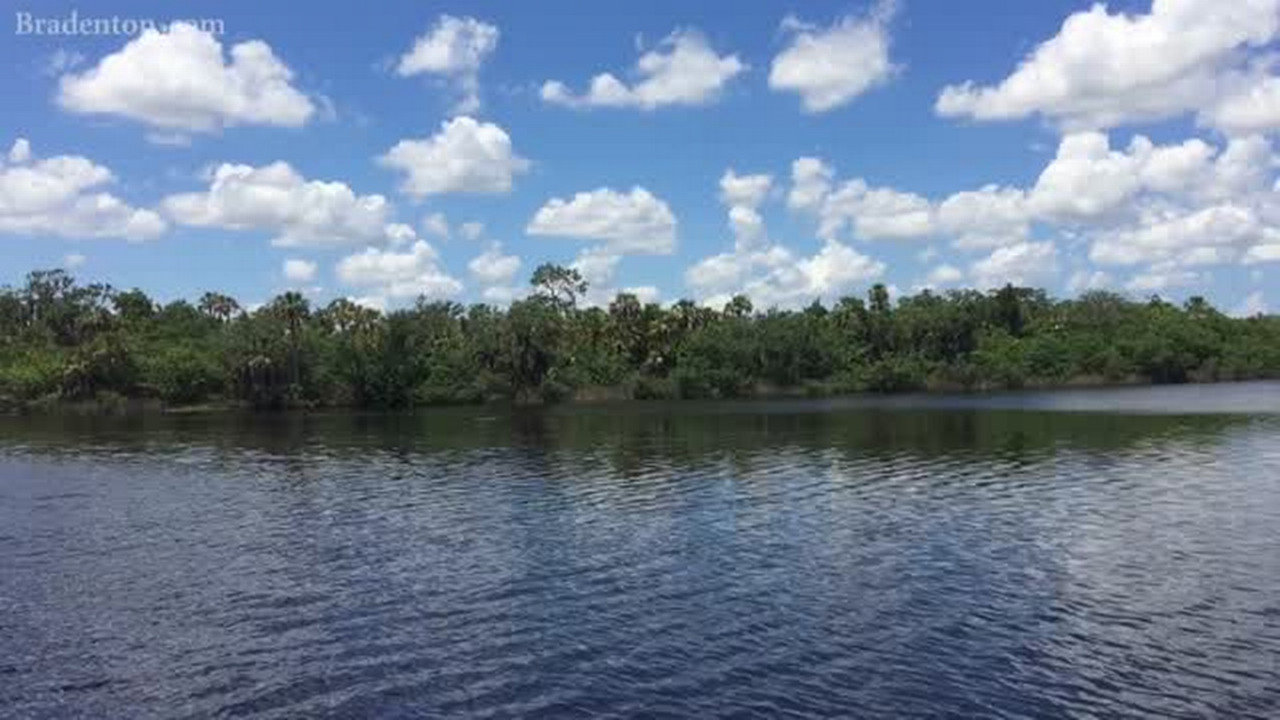 30 seconds of outdoors therapy at Fort Hamer Park in Parrish ...