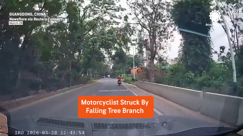 Motorcyclist struck by falling tree branch | AccuWeather