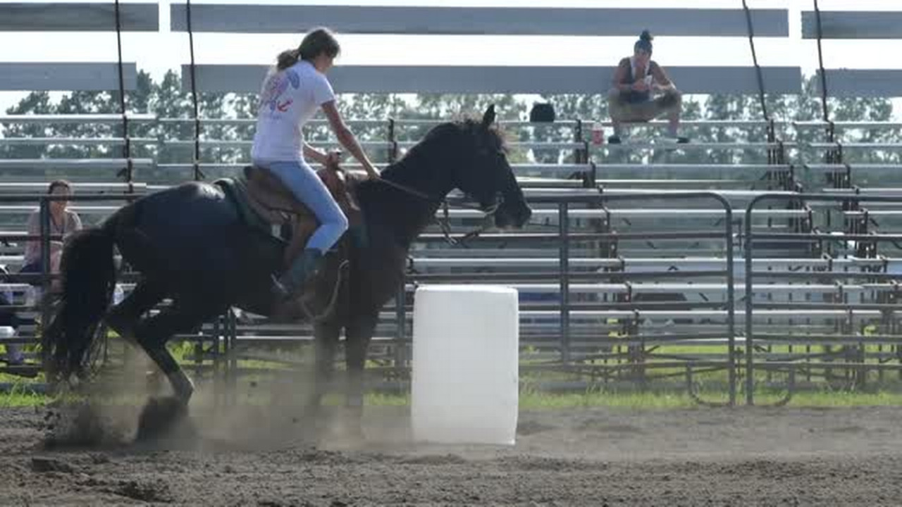 Thompson Farm starts four-part series of events with horse show ...