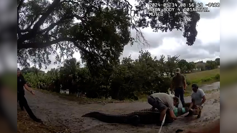 Florida State News, Crime & More | Miami Herald