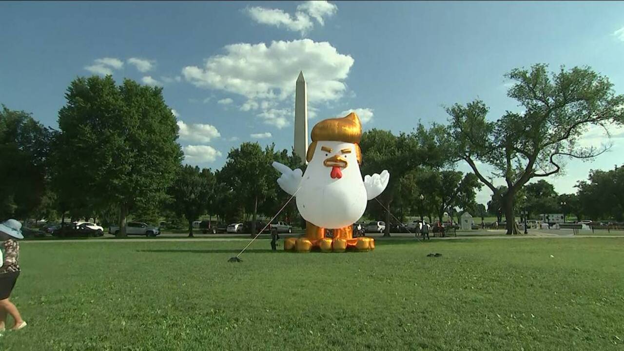 Giant inflatable chicken resembling Trump draws crowd near White House ...