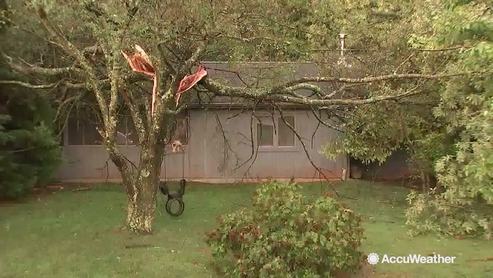 Trending Now Weather Videos | AccuWeather