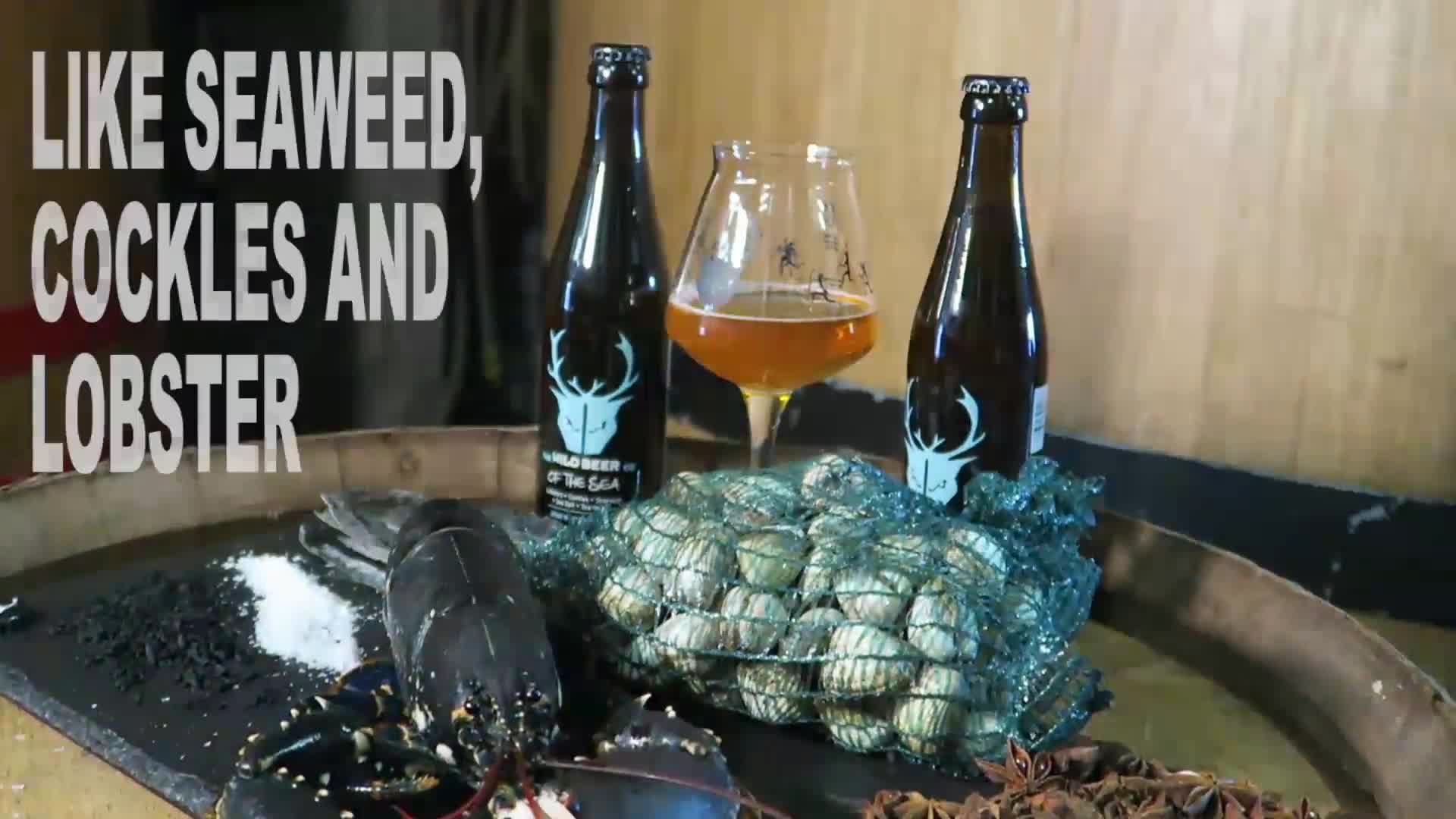 There's Something (Shell) Fishy About This Seafood-Inspired Beer ...