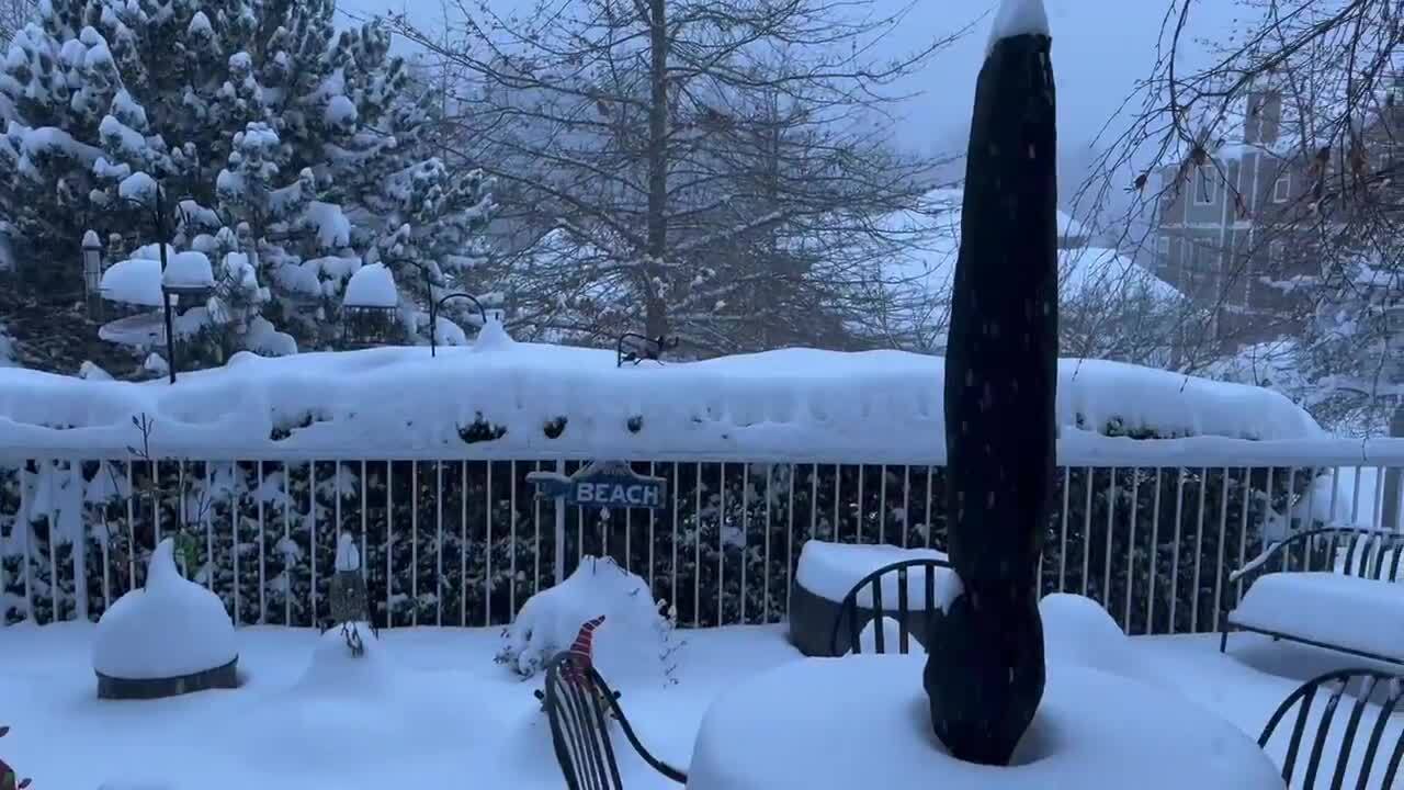 It's 16 degrees as snow falls in Bellingham | Bellingham Herald
