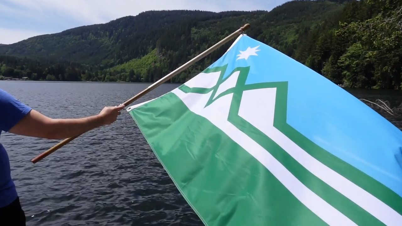 Bellingham artist creates updated flag for Washington state ...