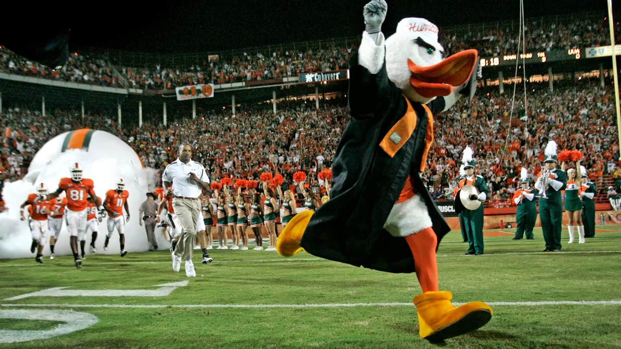 Sebastian, UM's Ibis Mascot, in photos through the years | Miami Herald