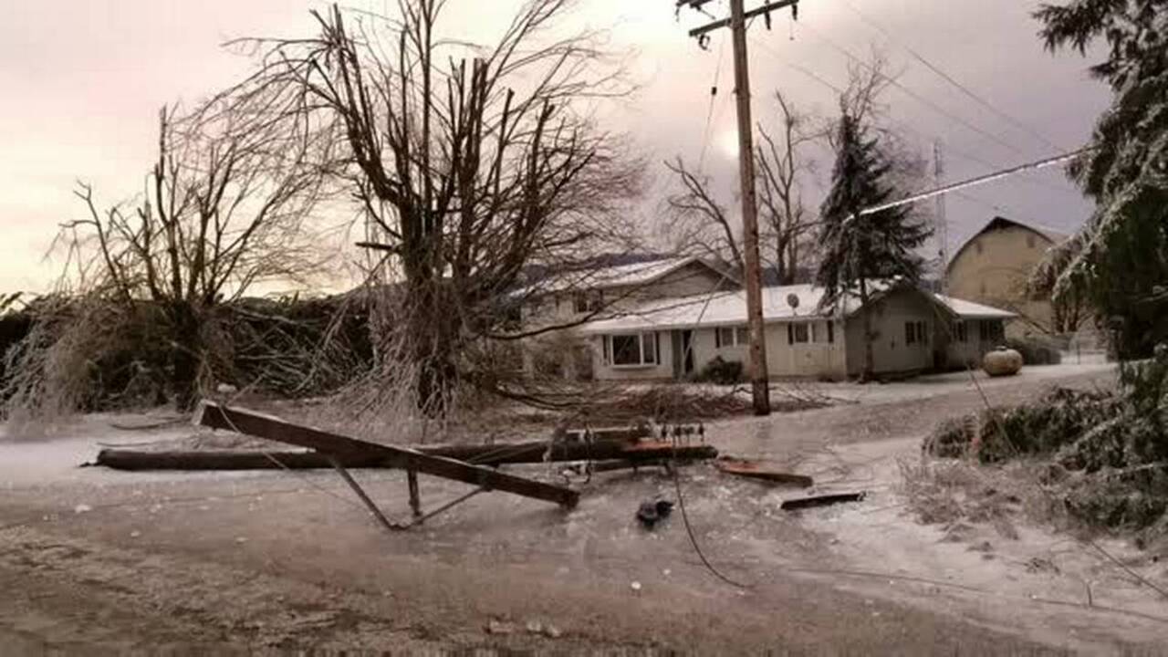 Ice storm creates havoc in north Whatcom County | Bellingham Herald