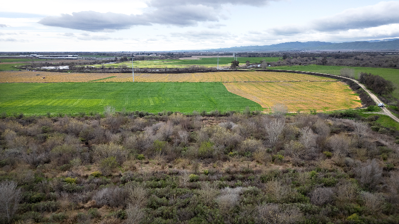 Restored floodplain has thrived at Dos Rios near Modesto, California ...