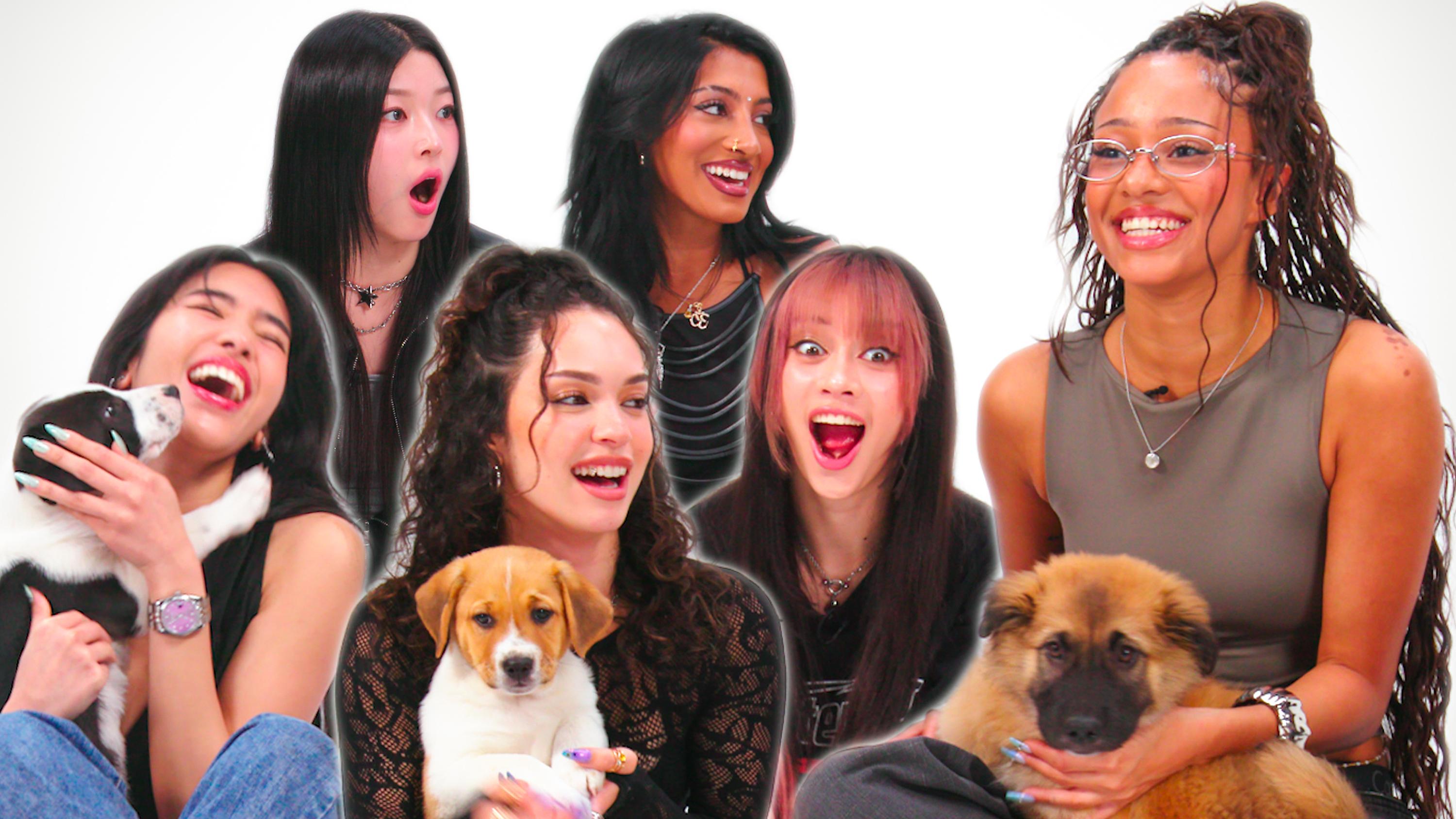 'Feels Like A Dream': Rookie Makes MLB History In 1 Pretty Fly Way ...