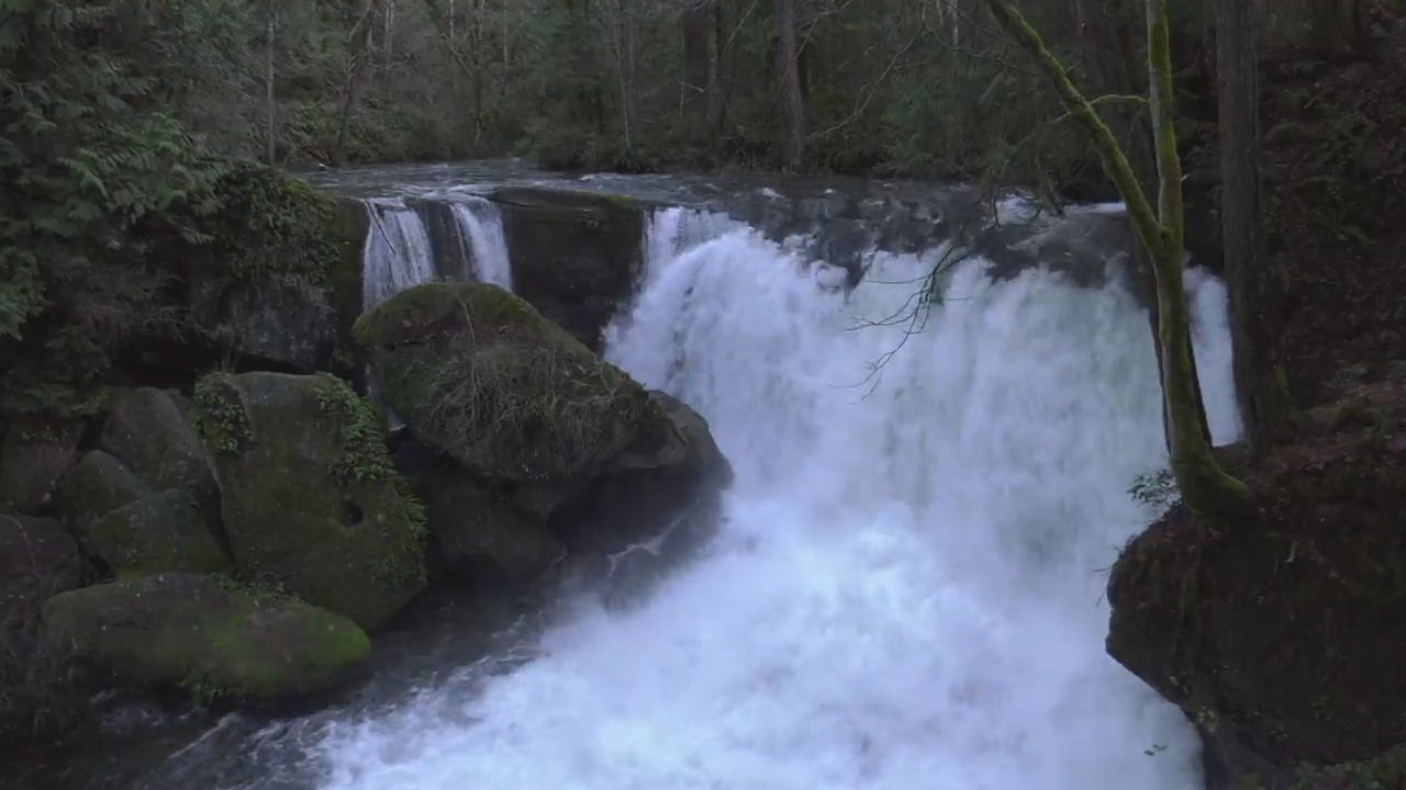 What you should know about Whatcom Creek | Bellingham Herald