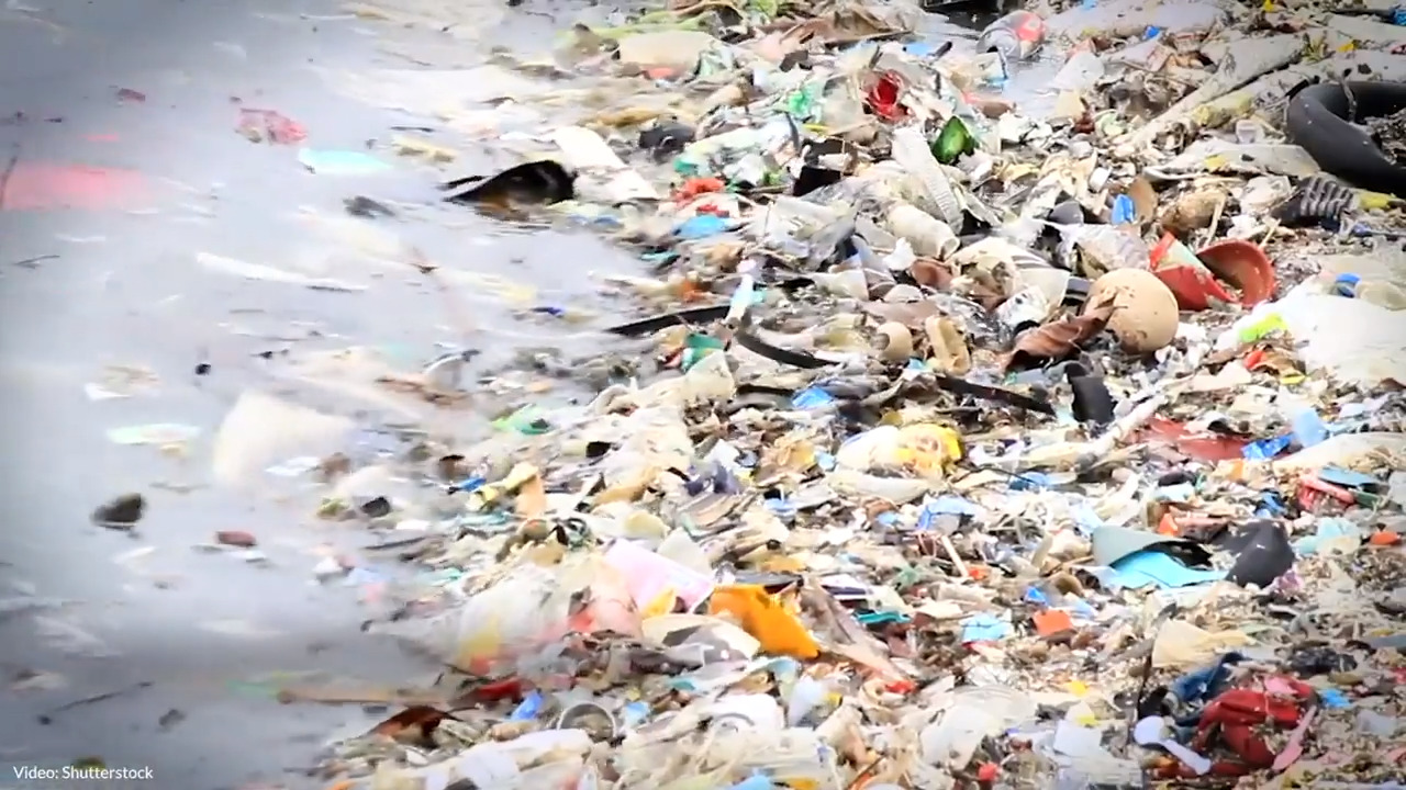 The Plastics Crisis Unfolding in U.S. Waters | Miami Herald