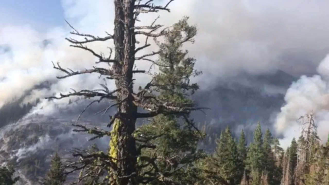 Most of Donnell Fire burn area in Stanislaus National Forest to reopen ...