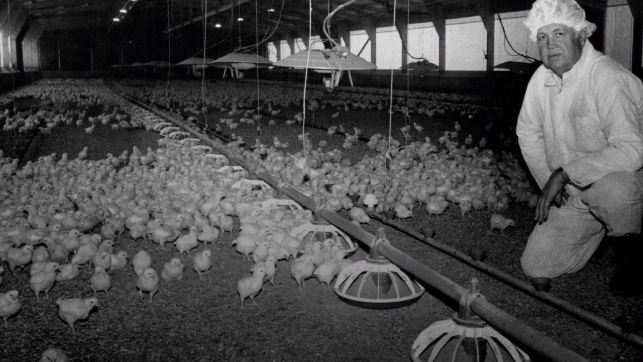 Zacky Farms file bankruptcy turkey plant close in fresno stockton ...