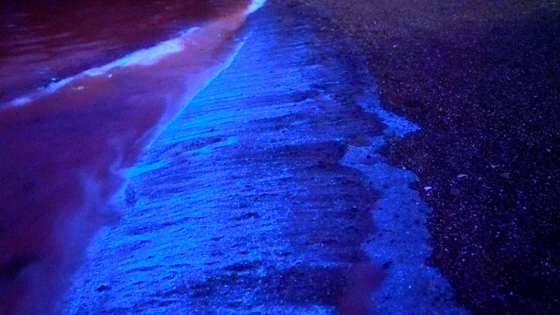 Video Cuaca yang Sedang Tren | AccuWeather