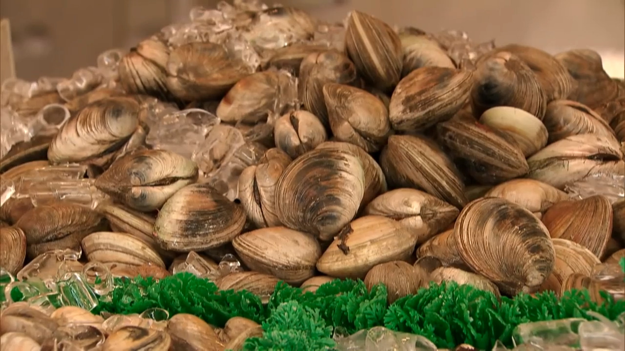How to cook and prepare shellfish without getting sick? | Bradenton Herald