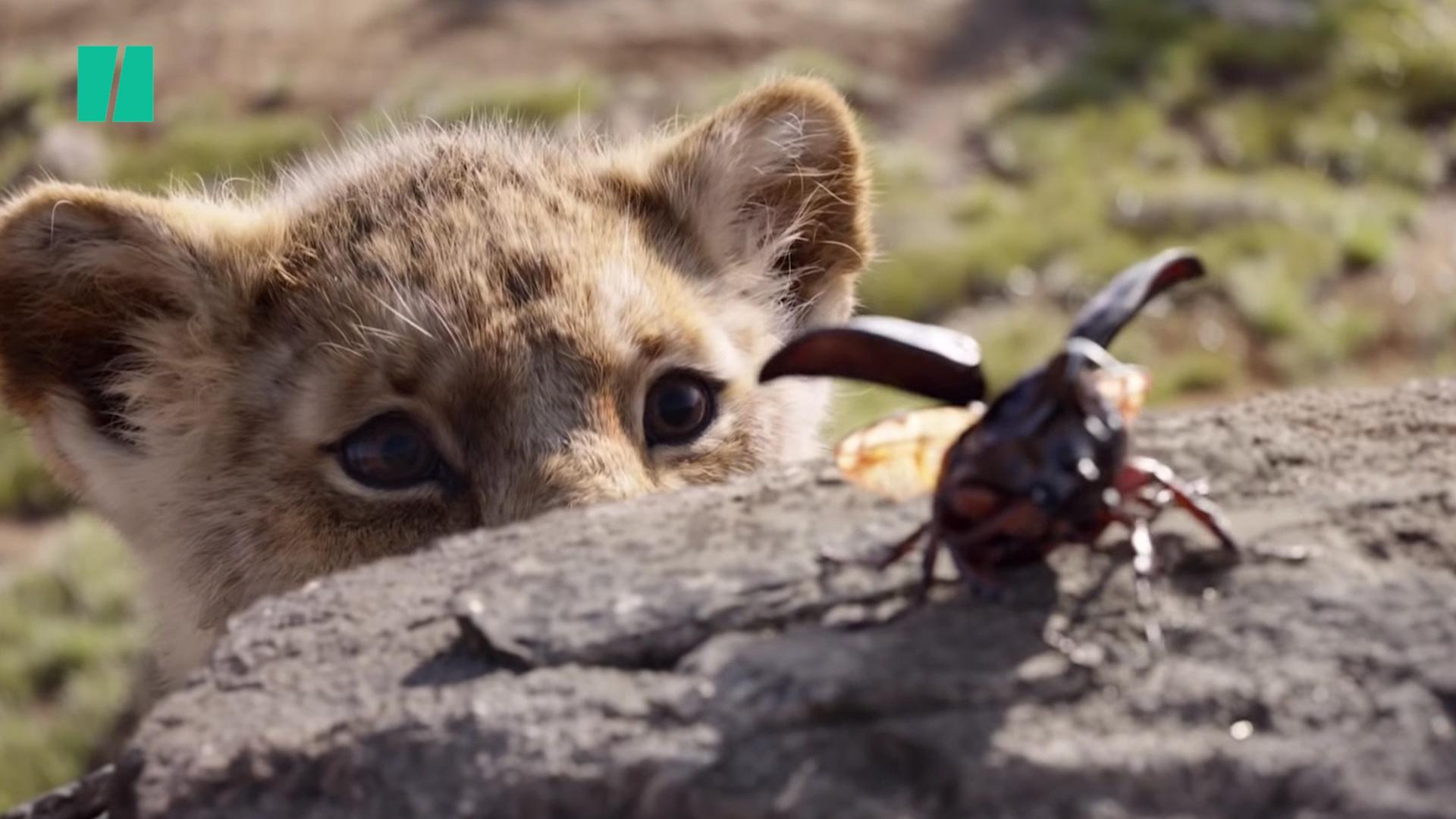 Hyper-Real or Hyper-Weird? 'The Lion King's' Uncanny Valley Problem ...