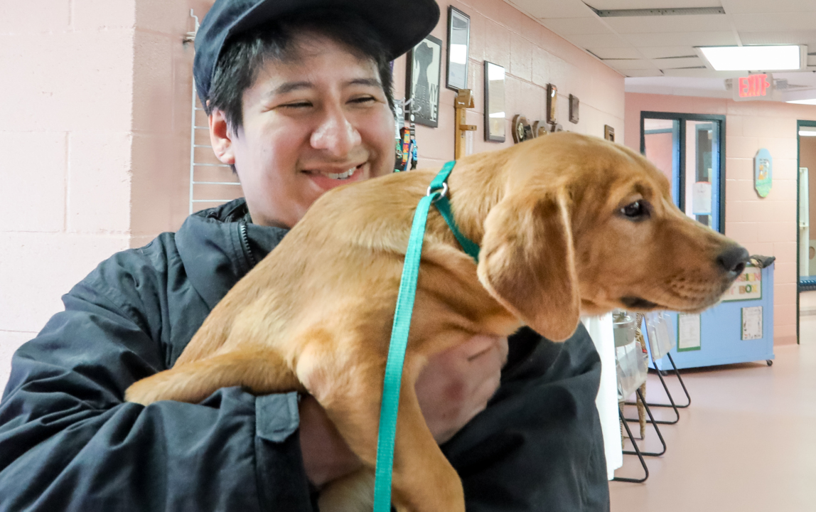 What to consider before adopting a pet | The State