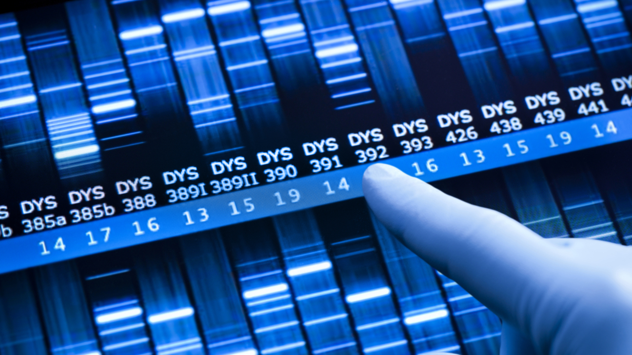 How DNA Evidence Works Sacramento Bee how-dna-evidence-works-sacramento-bee