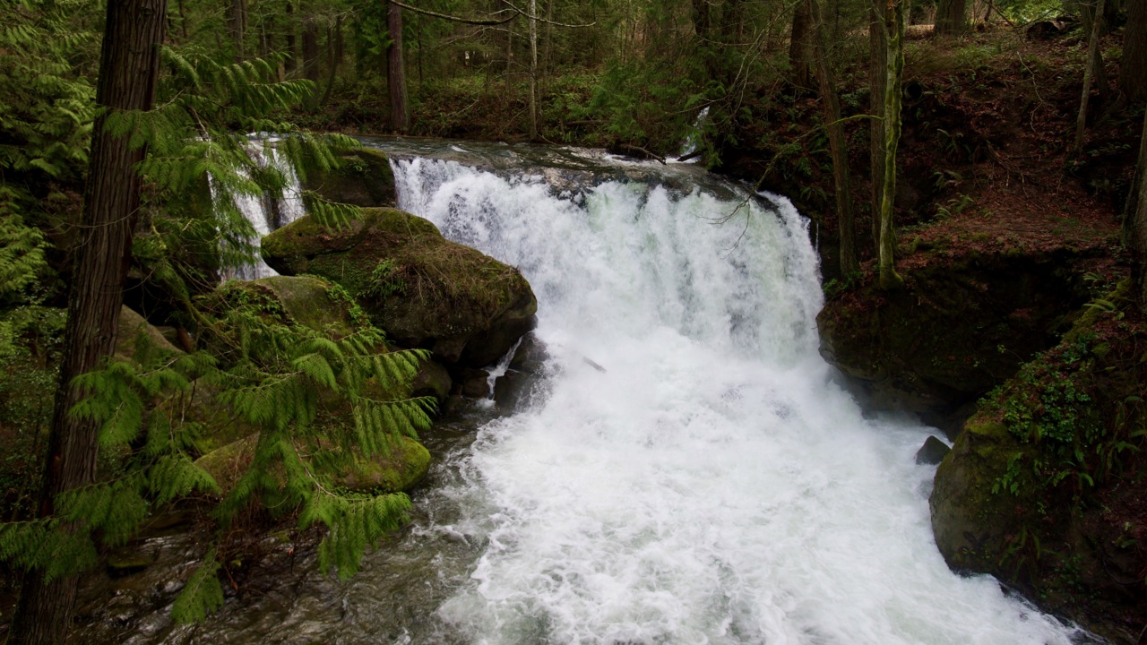 Take a look at waterfalls along Whatcom Creek after January's storms ...