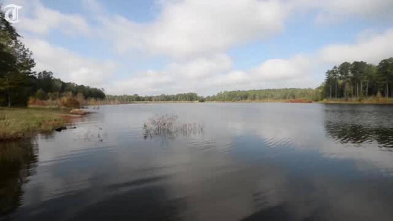 Ocmulgee Public Fishing Area now has water and some nice fish | The State